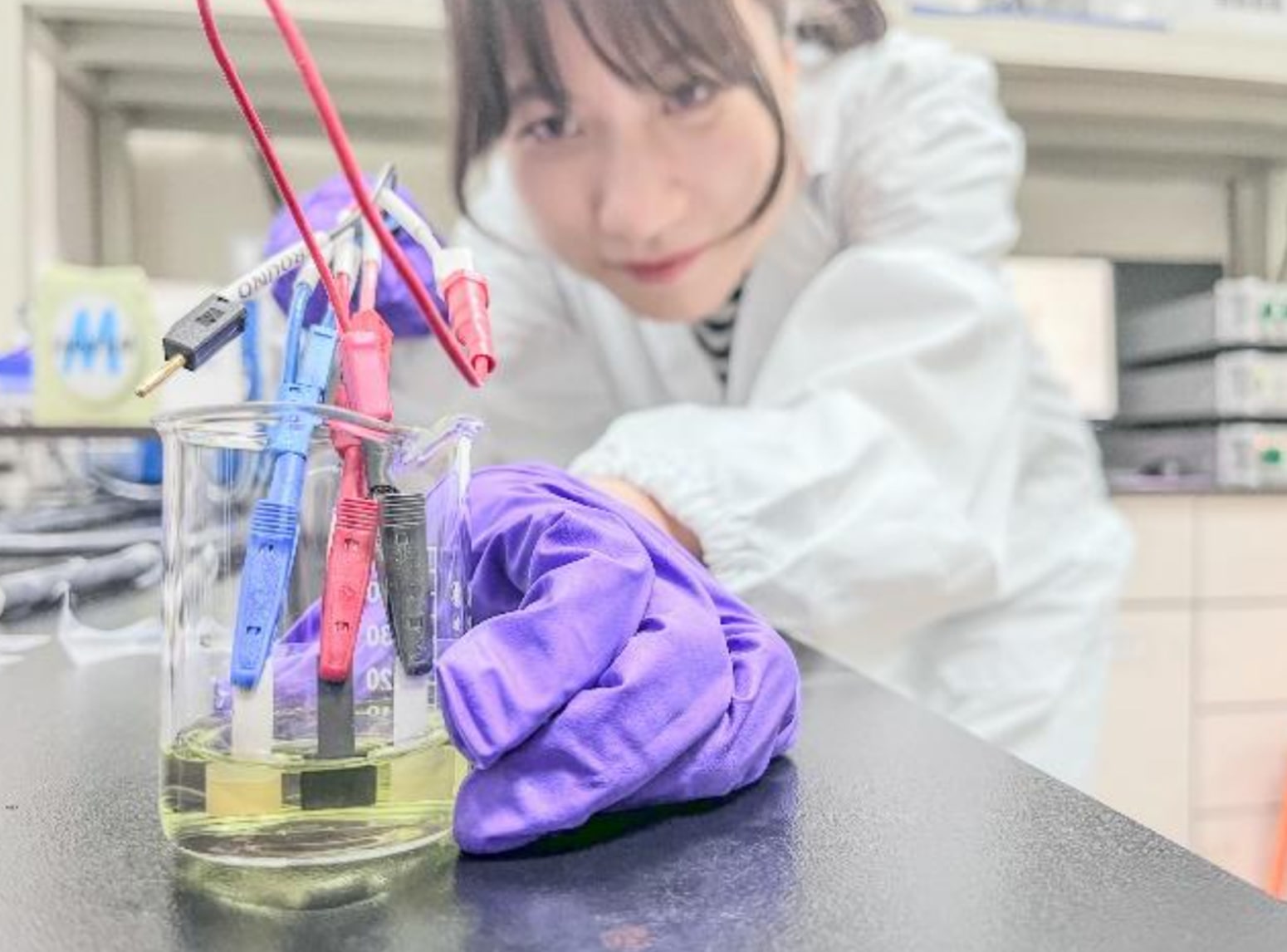 Biosensor - Advanced Electrochemical Storage and Biosensor Laboratory